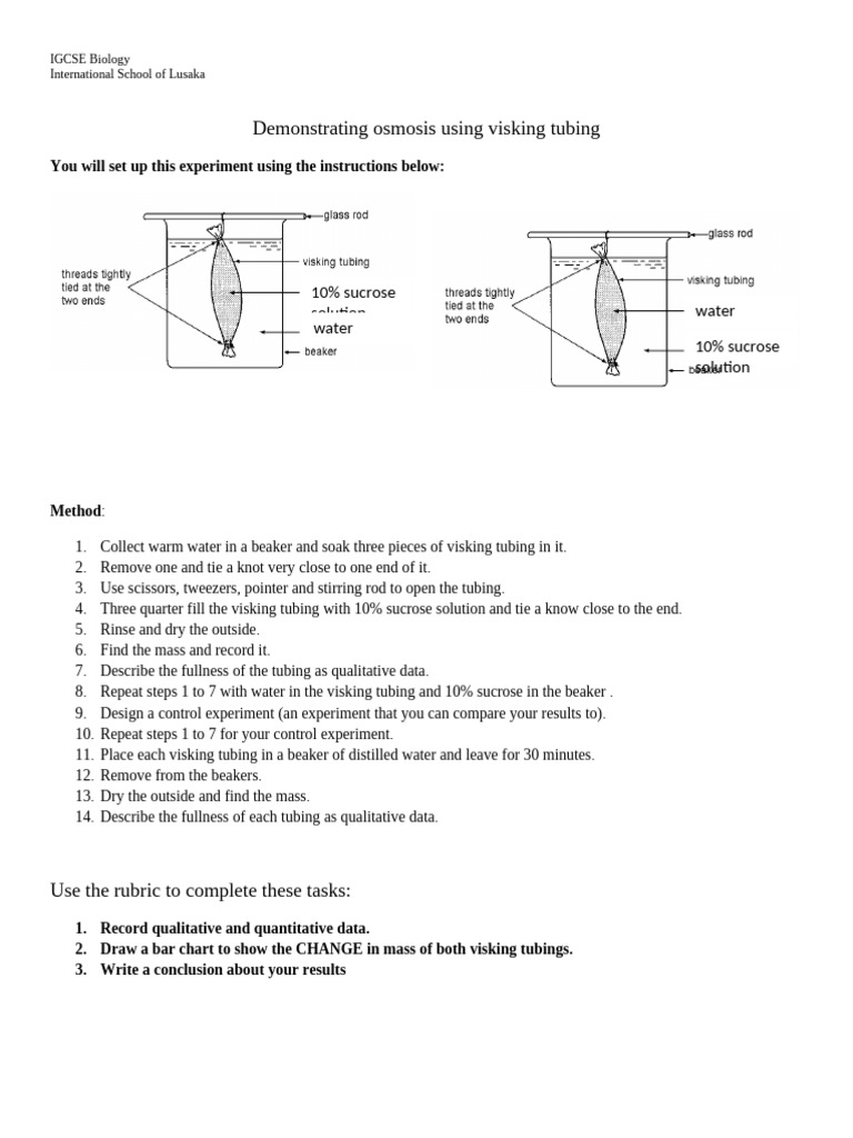 Osmosis Experiment with Visking Tubing | PDF | Wellness | Science ...