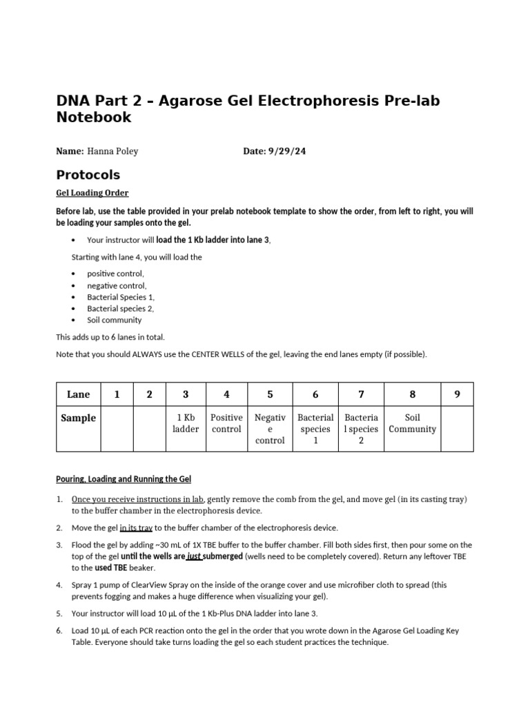 Poley S14 DNA Prelab2 | PDF | Gel Electrophoresis | Agarose Gel Electrophoresis