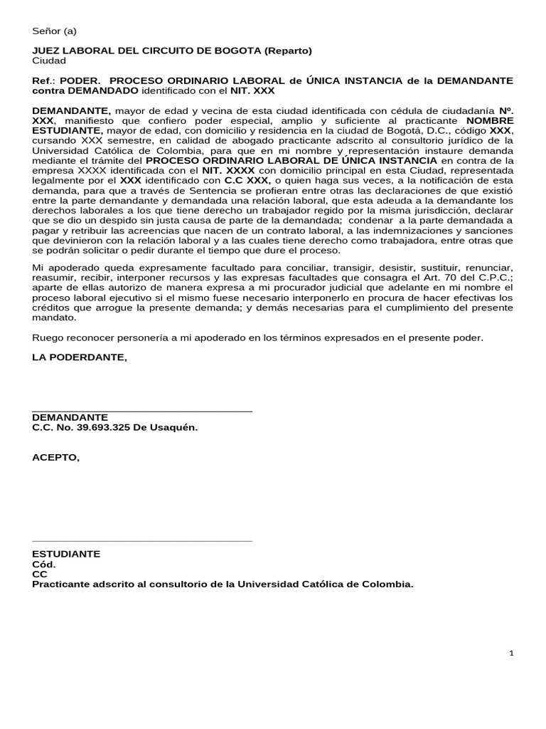 Modelo de Poder Laboral | PDF | Demanda judicial | Ley Pública