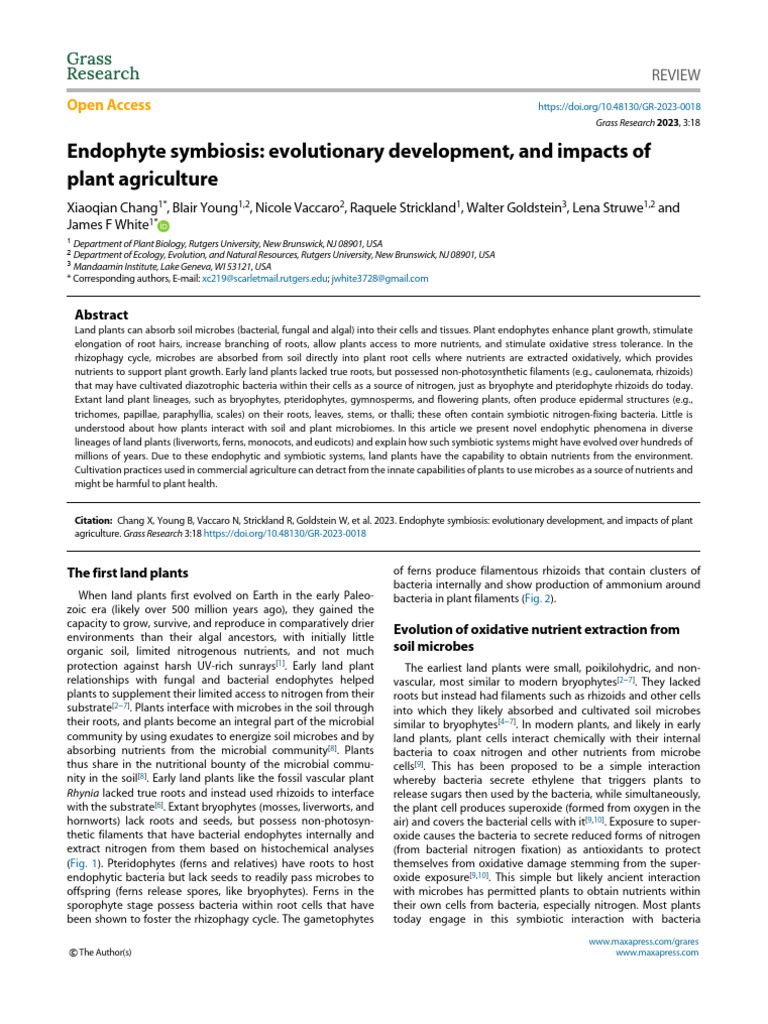 Endophyte Symbiosis Evolutionary Development and I | PDF | Plants | Root