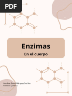 FRUTENZIMA: Usos y Beneficios Clínicos | PDF | Páncreas | Órgano (anatomía)