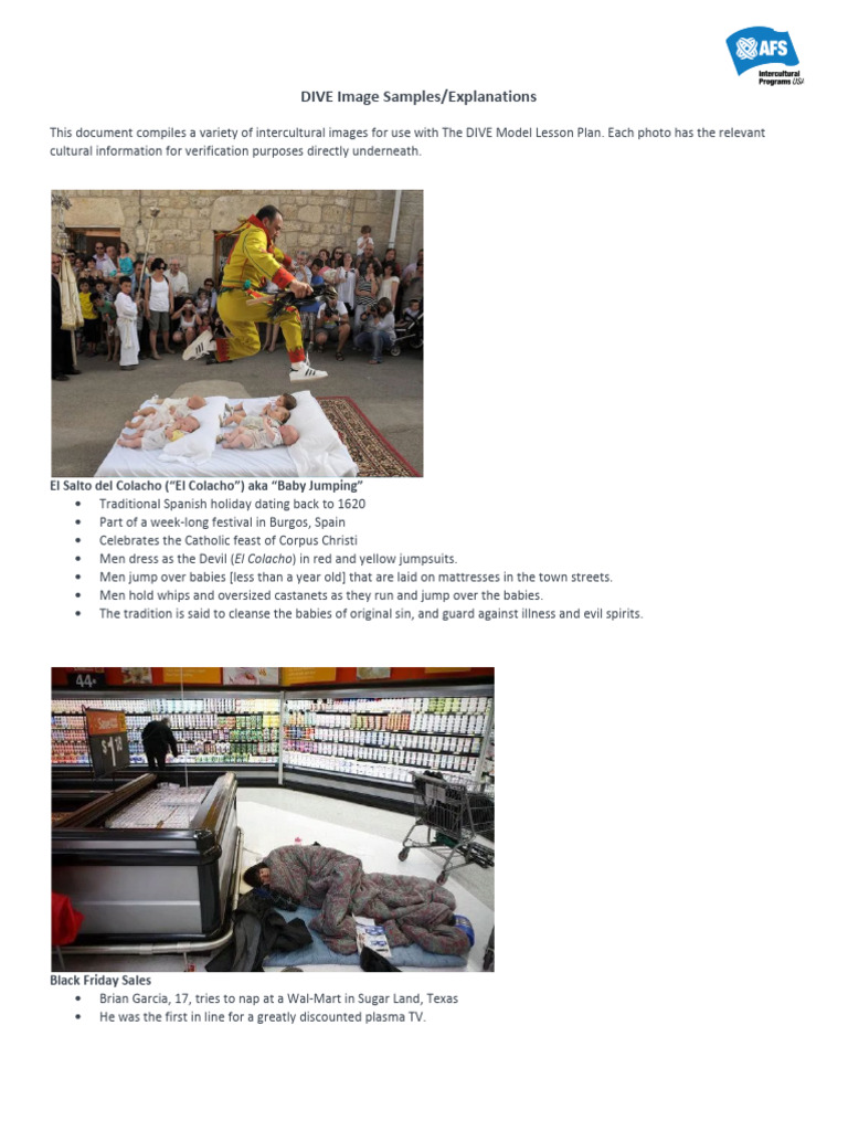 DIVE Image Samples and Explanations | PDF