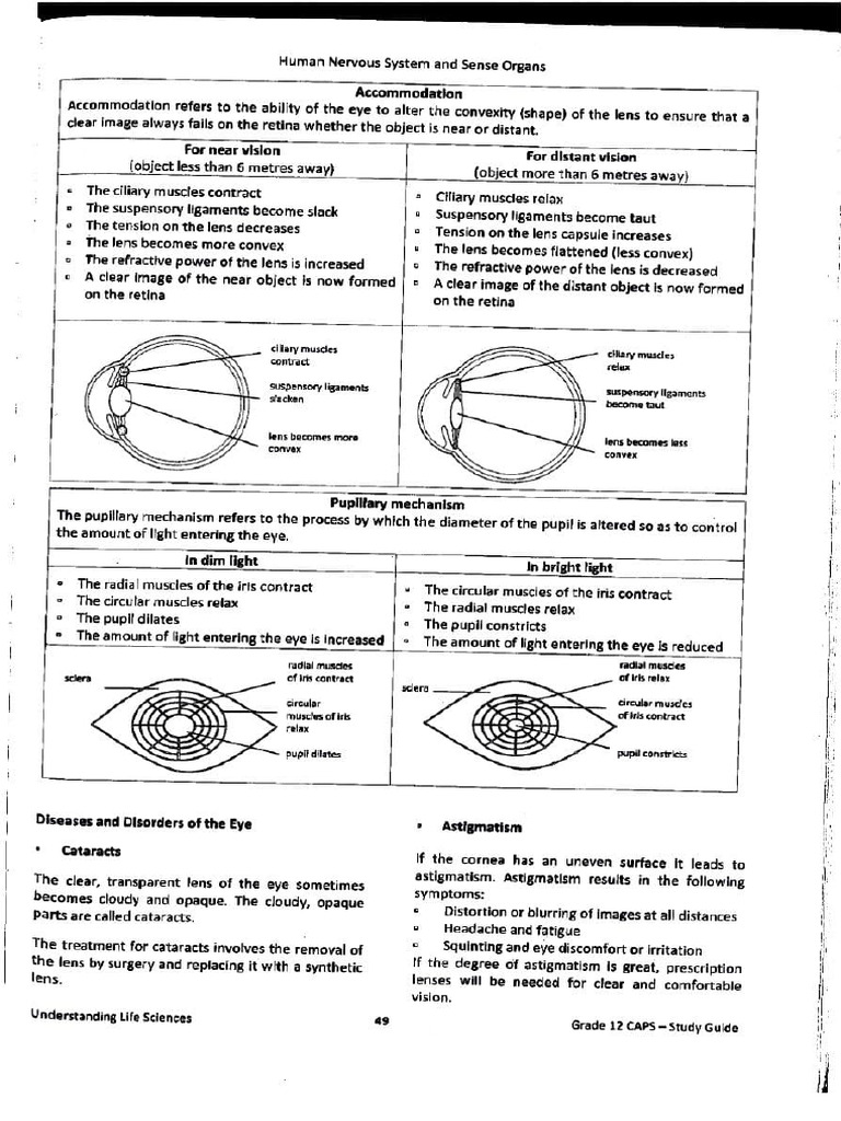 Adobe Scan 18 Oct 2024 | PDF