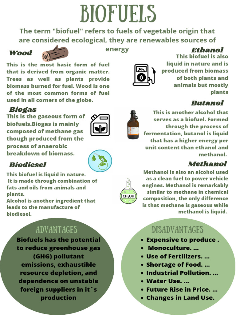 Biofuels 2 Pdf