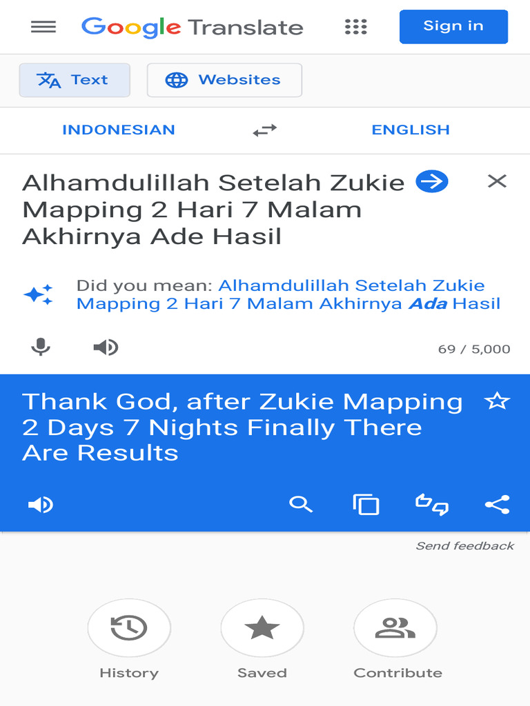 Google Translate | PDF