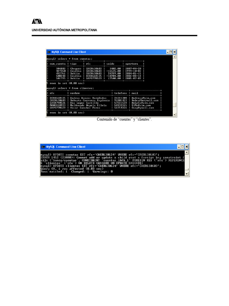87 - PDFsam - 01. Bases de Datos Autor María Del Carmen Gómez Fuentes | PDF