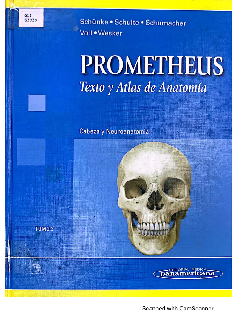 Prometheus Hipotálamo | PDF