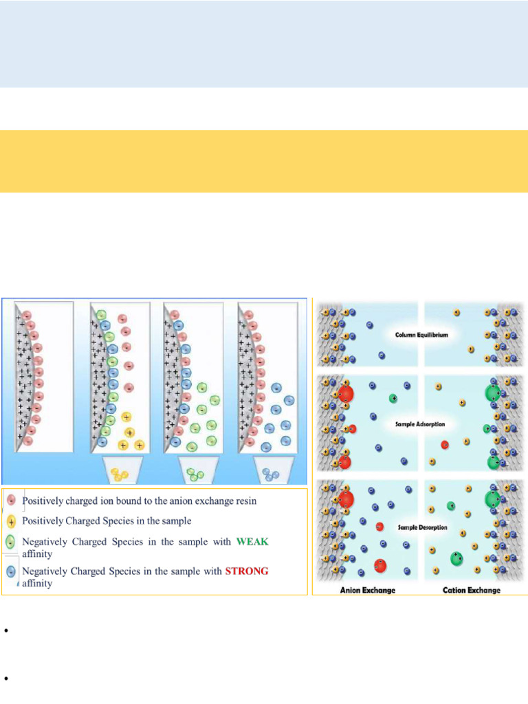 Overview of Ion Exchange Chromatography | PDF | Ion Exchange ...