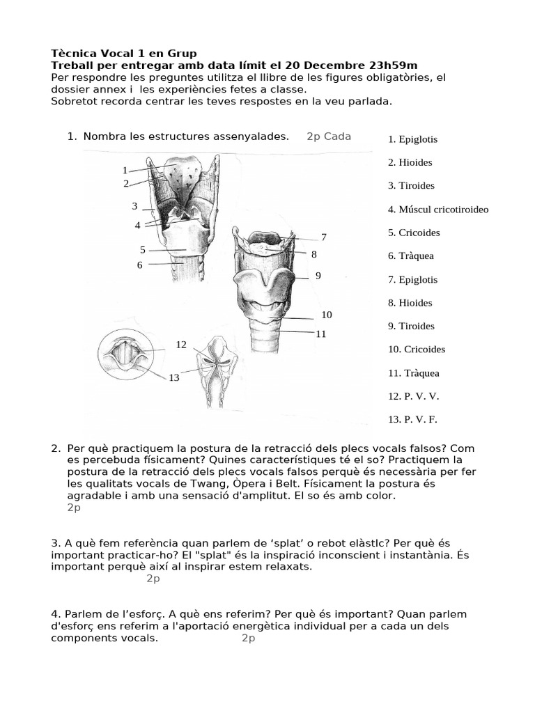 Treball Esad TV1 S1 2021 22 | PDF