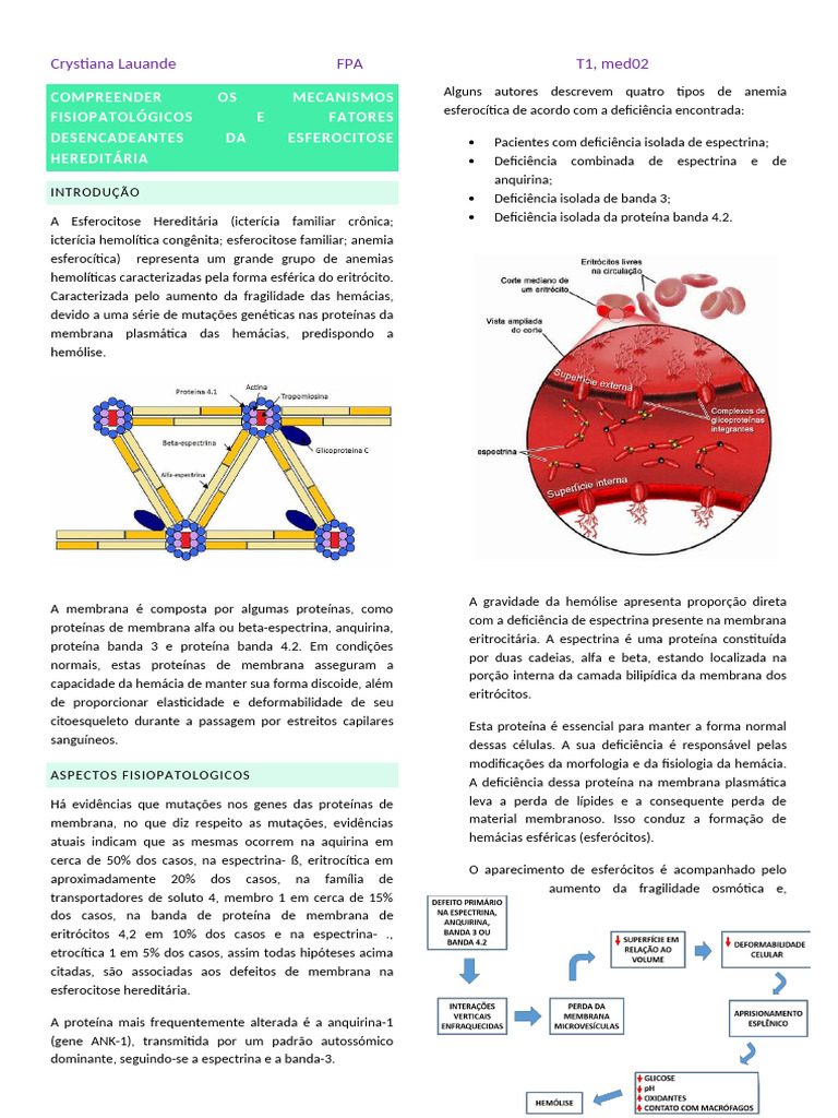 Anemia H. Esferocitose Hereditaria | PDF | Anemia | Hemácia
