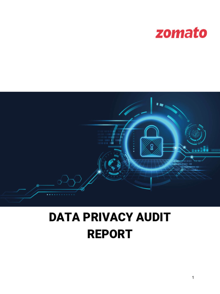 Data Privacy Audit Report | PDF | Computer Security | Security