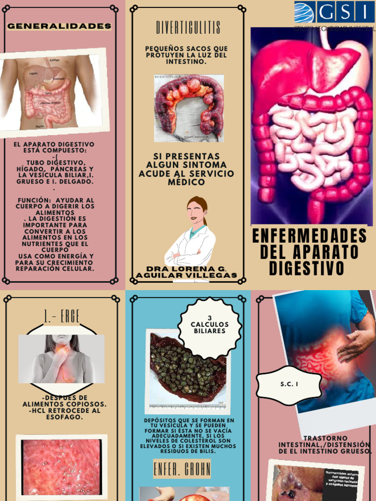 Enferm A. Dig | PDF
