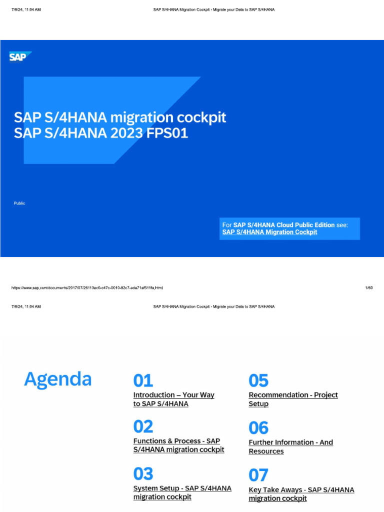 Data Migration Cockpit | PDF