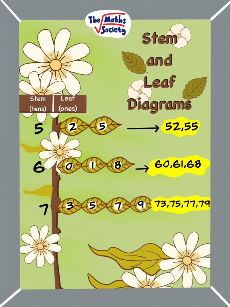 Chapter 4-Stem and Leaf | PDF