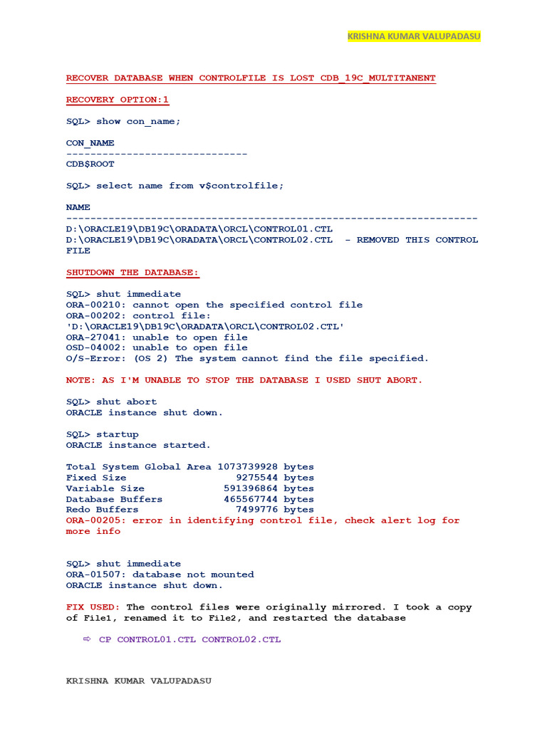 Recover Database When Controlfile Is Lost CDB - 19C | PDF | Protein Data Bank | Oracle Corporation