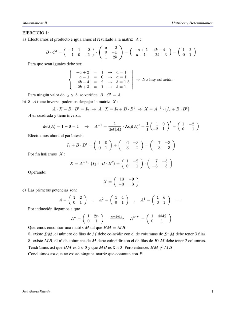 Ejercicios Matrices | PDF | Matriz (Matemáticas) | Determinante