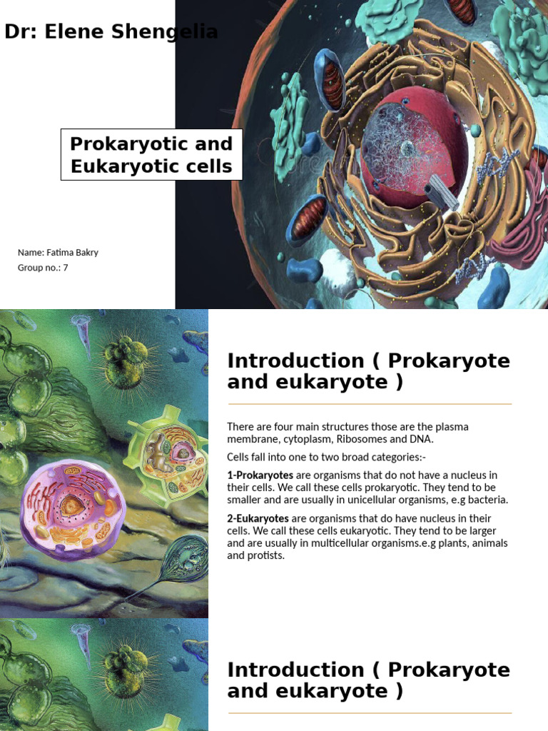 Prokaryotic vs Eukaryotic Cells Explained | PDF | Wellness