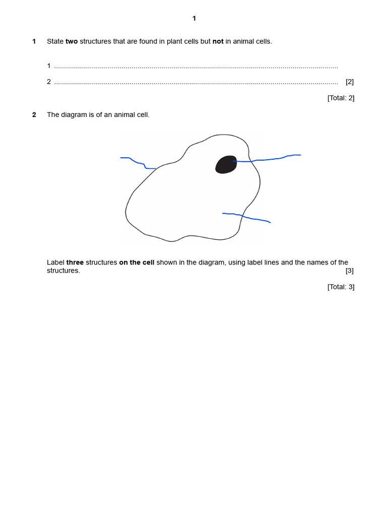 Plant Cell Structures Explained | PDF | Cell (Biology) | Plants