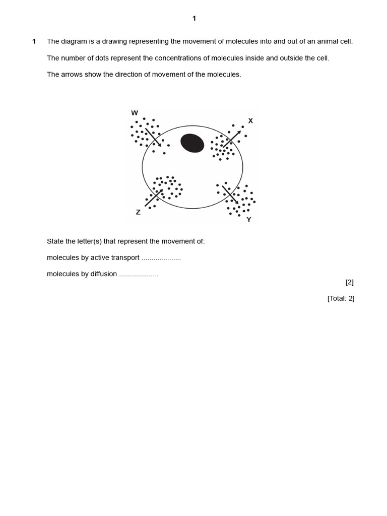 Diffusion Pdf Diffusion Osmosis