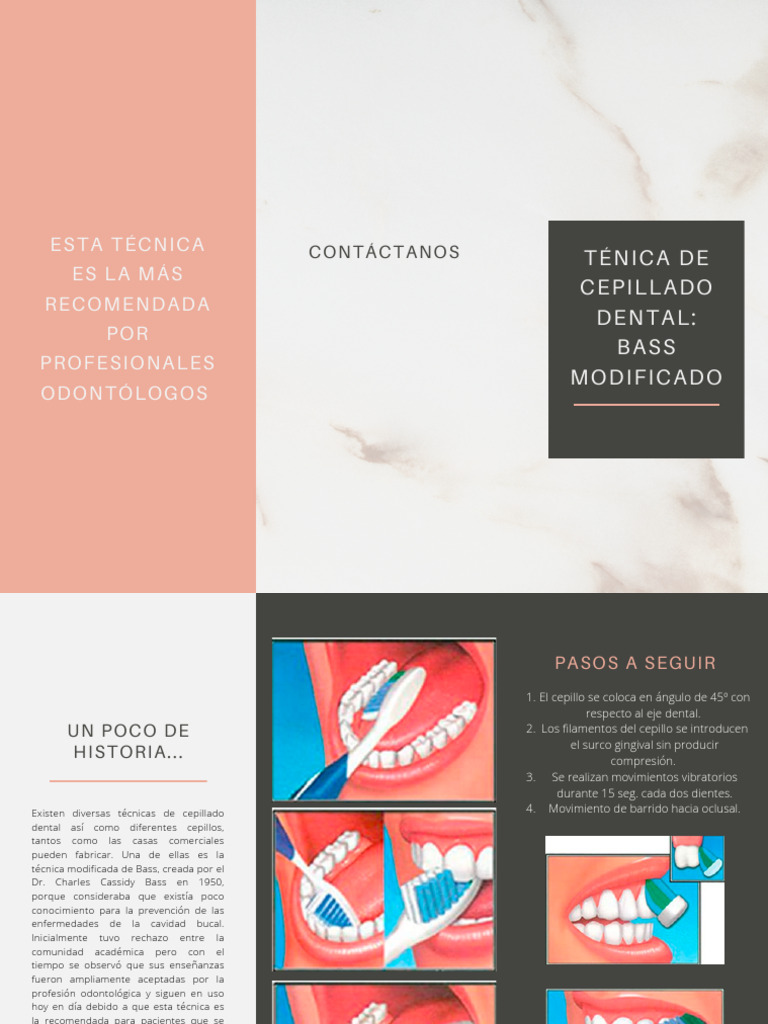 Técnica Bass para Salud Dental | PDF | Hogar, jardinería y bricolaje | Salud y bienestar