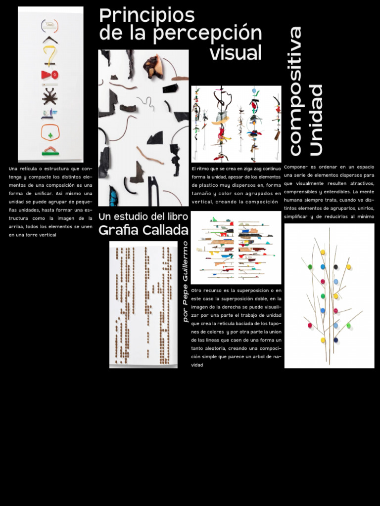Leyes de La Persepcion Visual | PDF