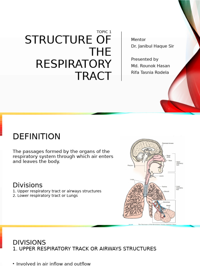 Respiratory Tract Pdf Respiratory Tract Lung