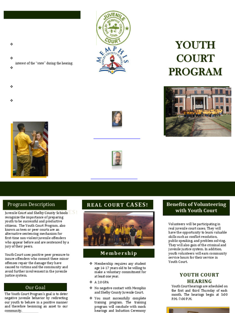 2024A Brochure For Volunteer Students | PDF | Juvenile Court | Misconduct