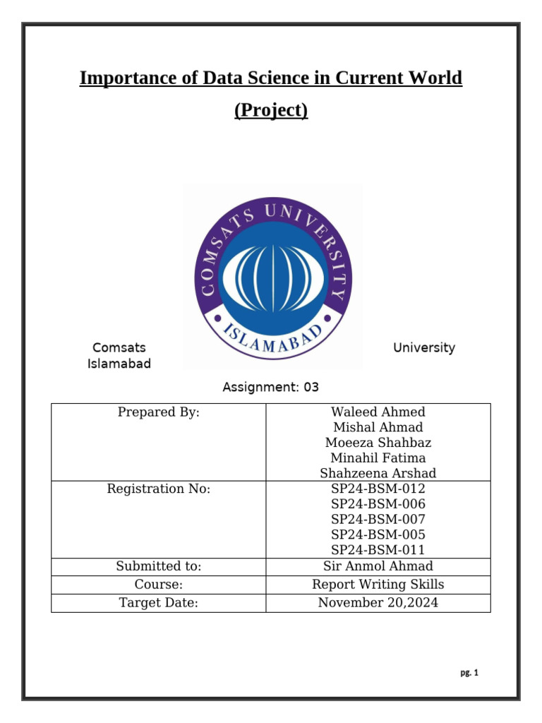 Report Writing Project 01 | PDF | Data Science | Analytics