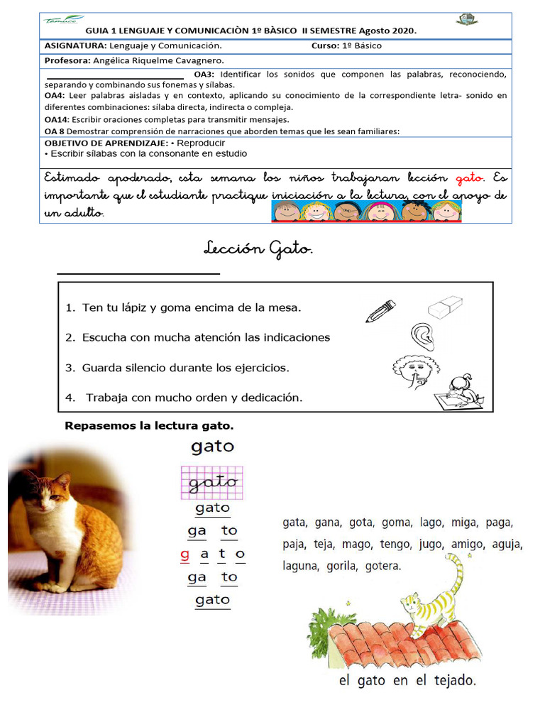 Leccion Gato | PDF
