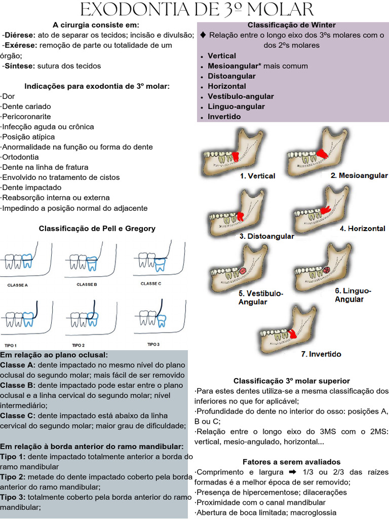 Exodontia de 3º Molar: Procedimentos e Cuidados | PDF | Dente humano ...