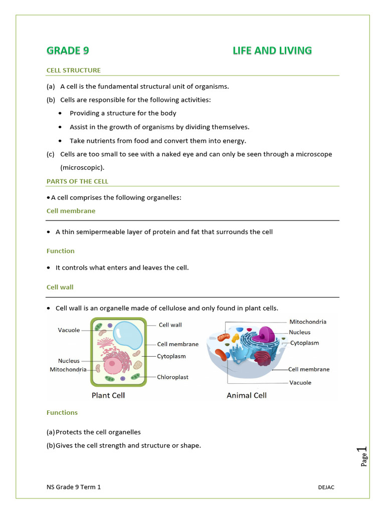 Grade 9 Cell Structure and Functions | PDF | Human Reproduction ...