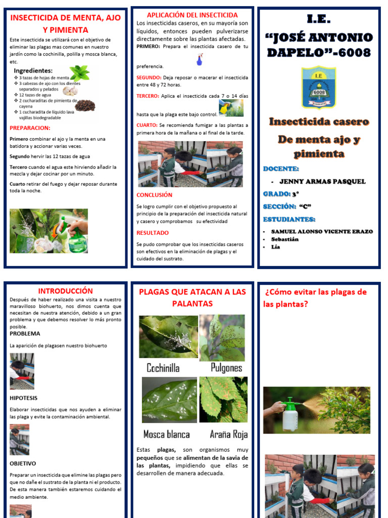 Insecticidas Casero | PDF | Insecticida | Plaga (organismo)