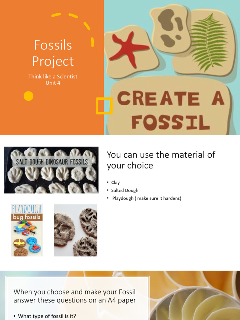 Fossils Project: Think Like A Scientist Unit 4 | PDF