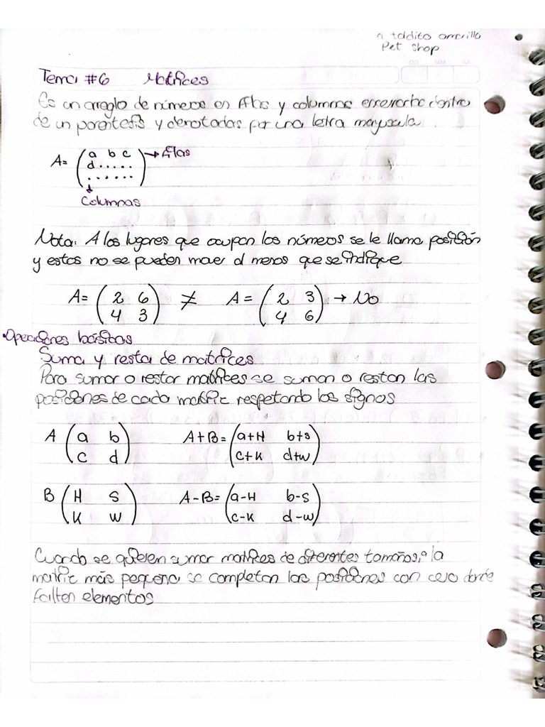 Clase de Matemática Matrices | PDF