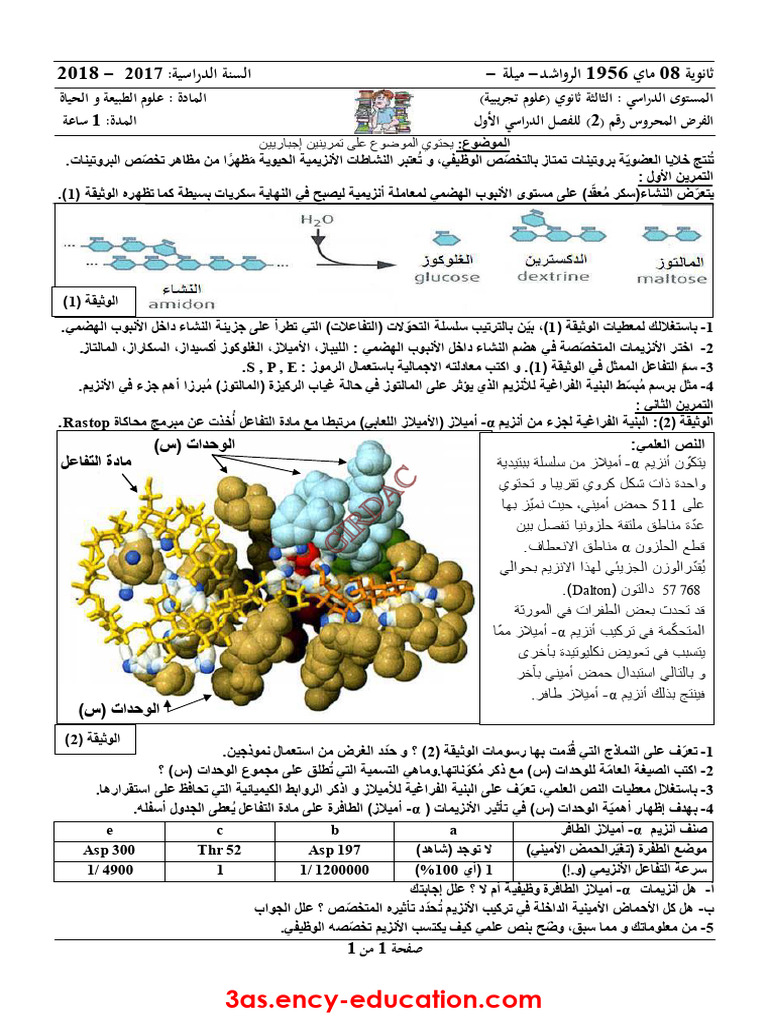 Dzexams 3as Sciences Se - t1 20181 306400 | PDF
