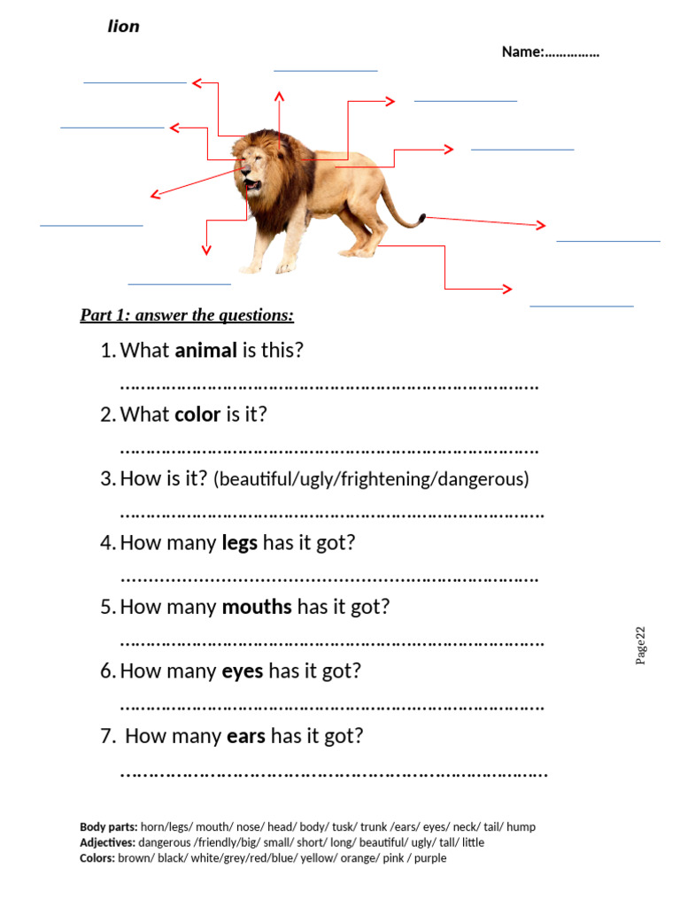 Animal Body Parts and Descriptions | PDF | Elephant | Zoology
