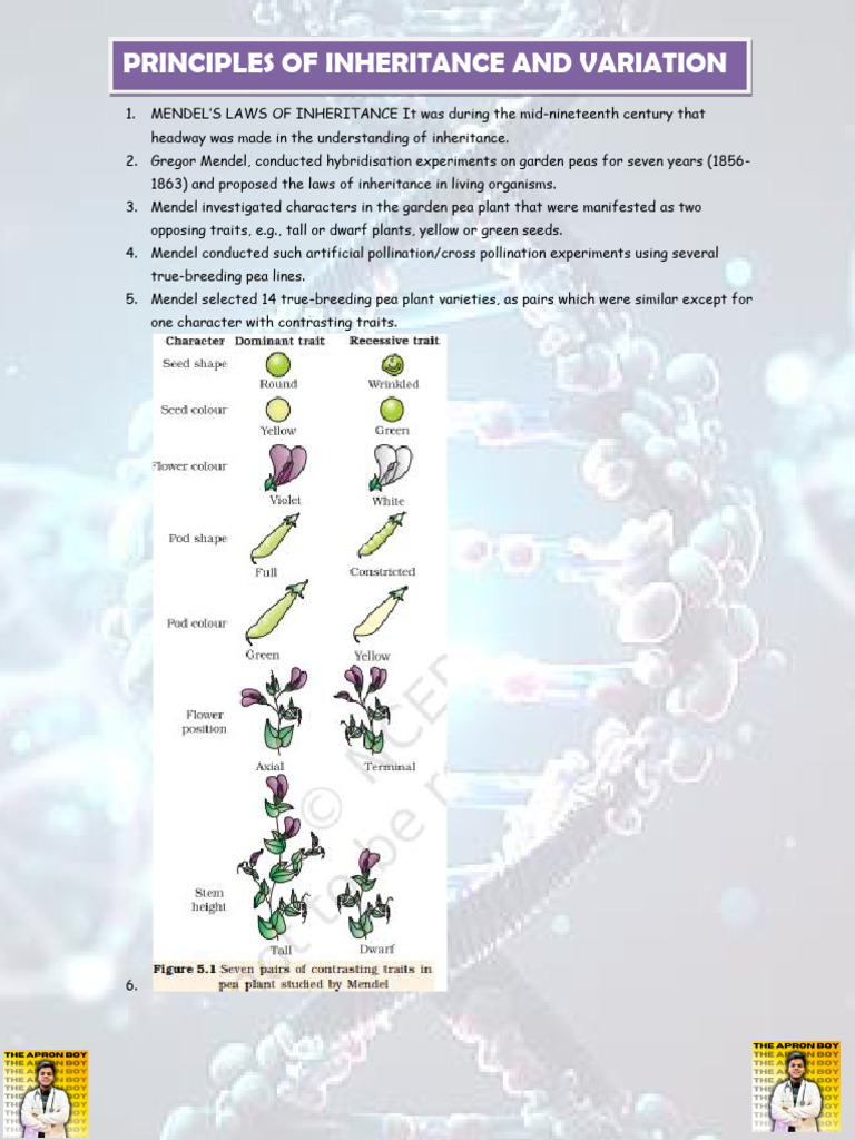 Principles of Inheritance and Variation | PDF | Dominance (Genetics) | Genotype