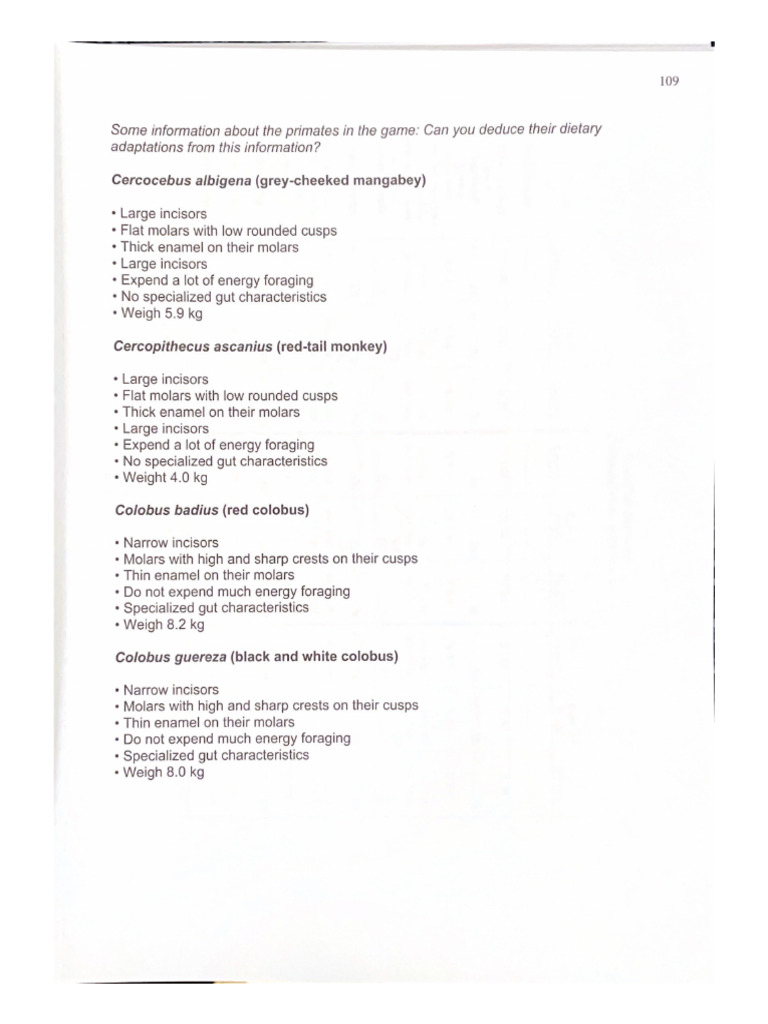 Primate Feeding Characteristics | PDF
