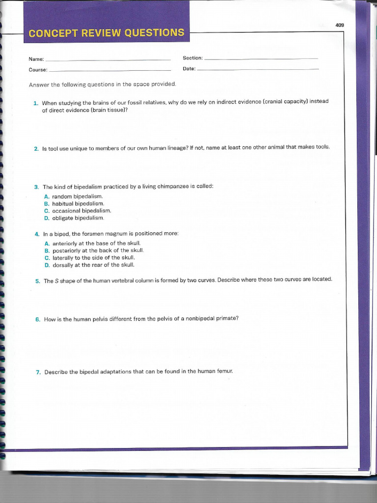 Lab 14 Exercises | PDF