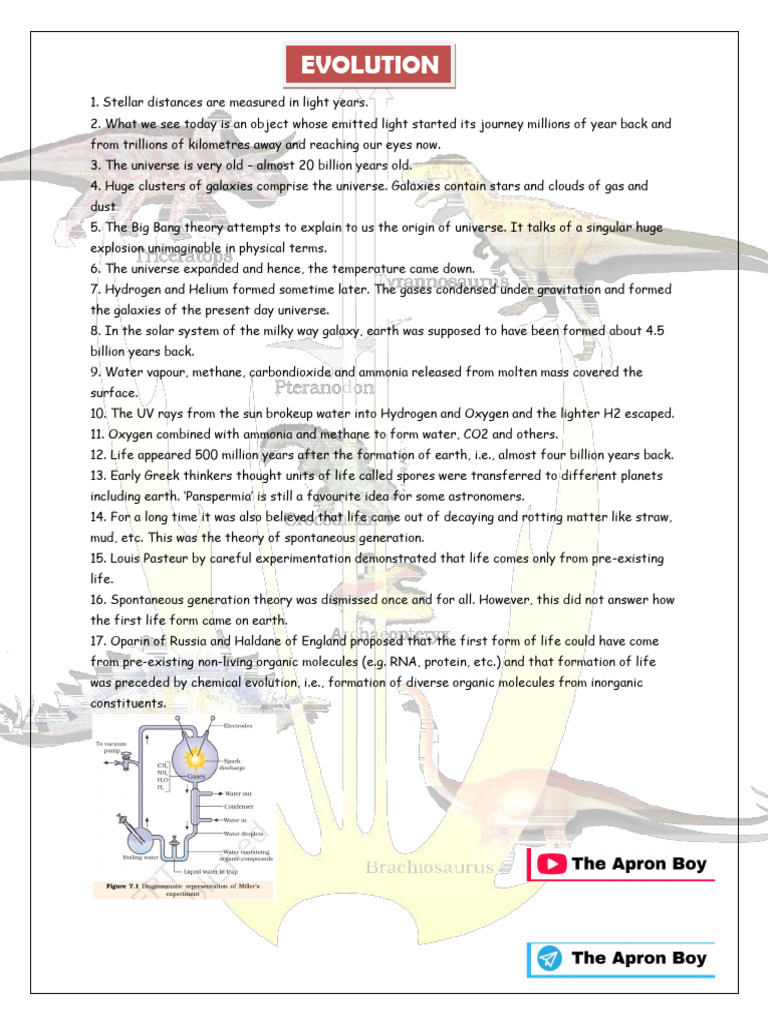 Evolution | PDF | Homo | Evolution