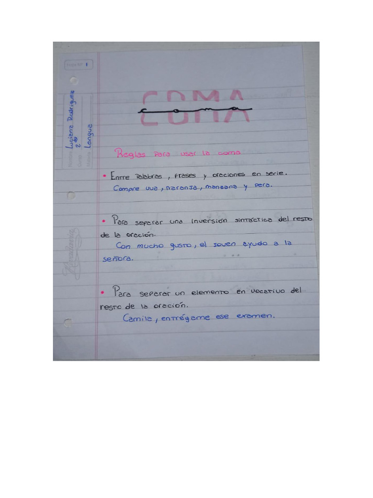 Infografia - Usos de La Coma | PDF