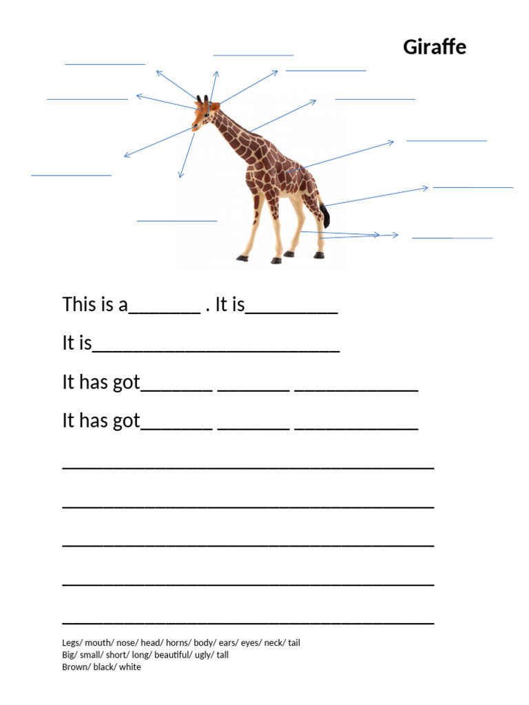 Describing a Giraffe's Features | PDF