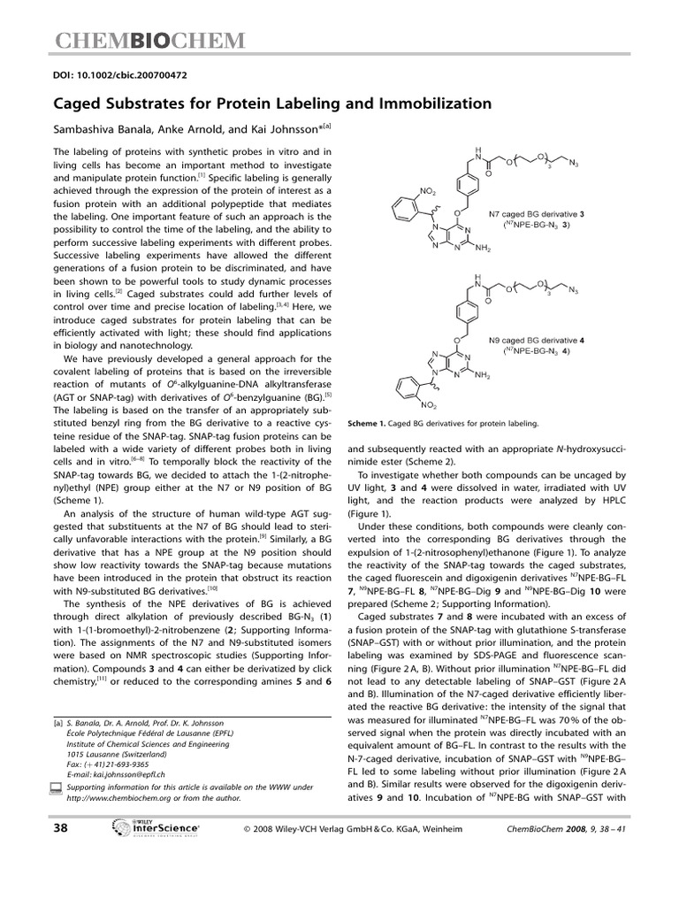 Caged Substrates for Protein Labeling | PDF | Proteins | Glutathione S ...