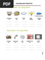 Fluent Forever | PDF