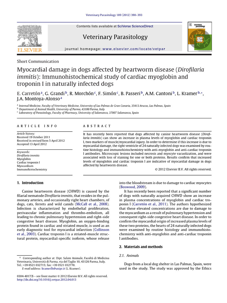 Myocardial Damage in Dogs Affected by Heartworm Disease ...