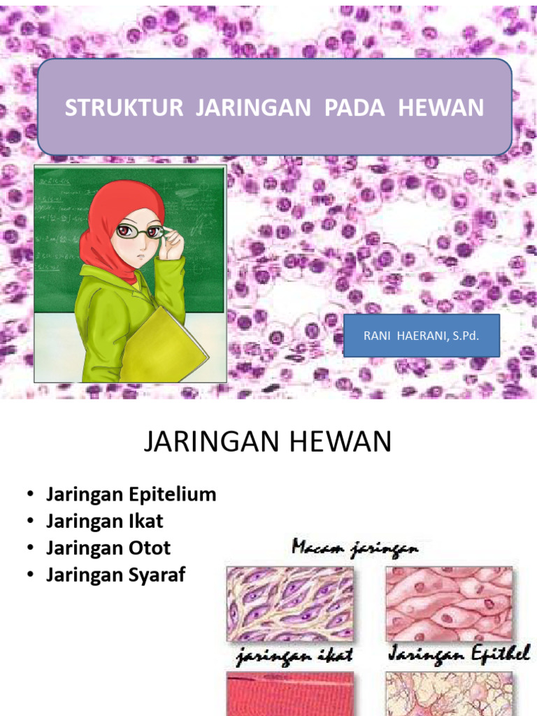 Struktur Jaringan pada Hewan | PDF | Sains & Matematika