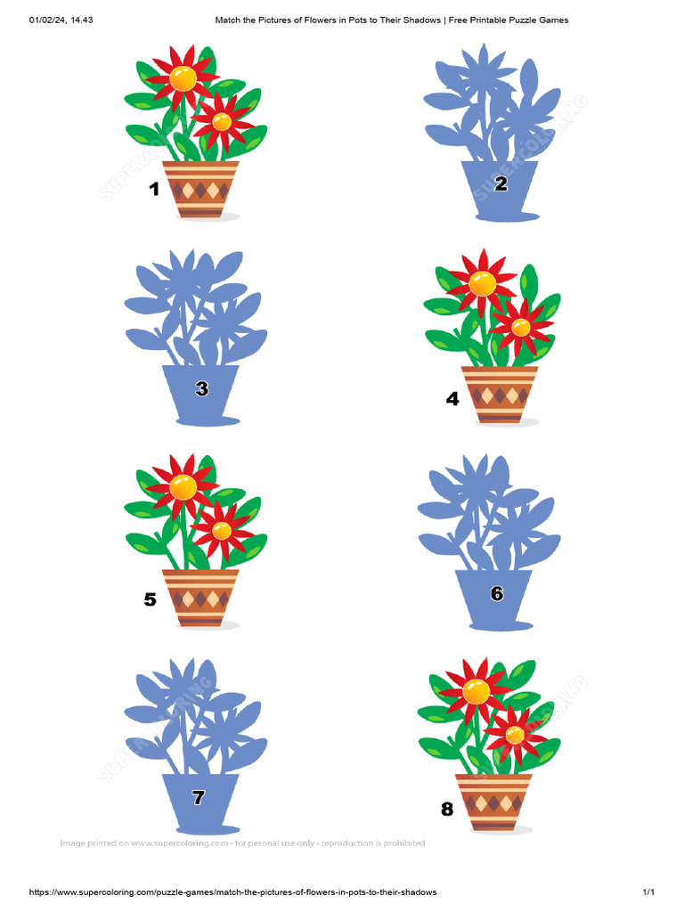 Match The Pictures of Flowers in Pots To Their Shadows - Free Printable ...