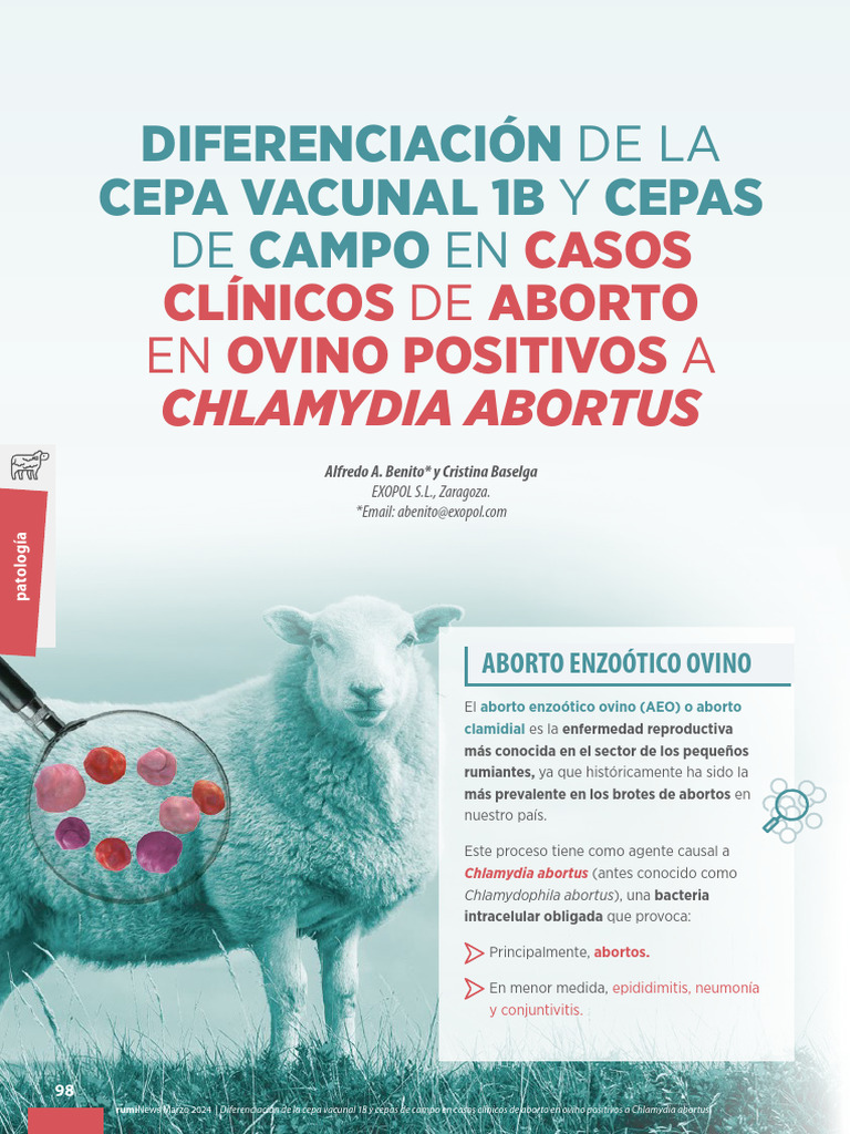 Cepas Chlamydia Abortus | PDF | Oveja | Aborto