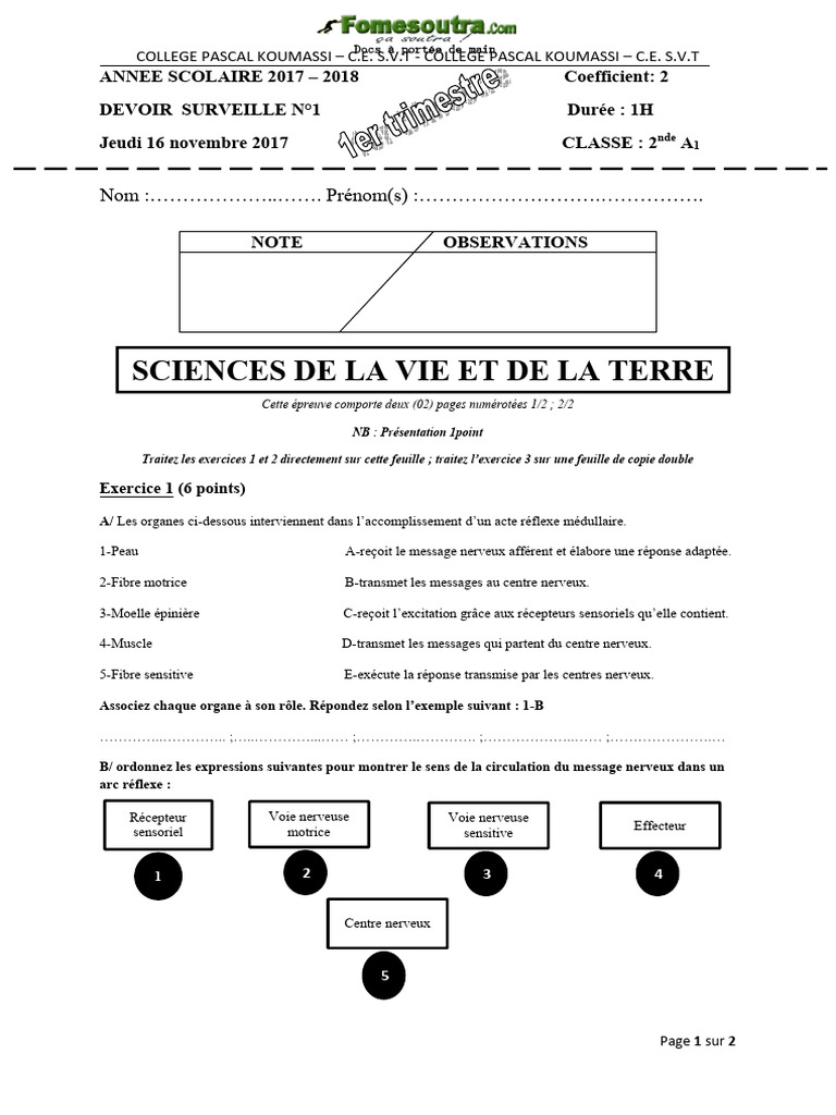 612b99cba94aesujet de SVT College Pascal Koumassi Niveau 2nde A | PDF | Synapse | Acétylcholine