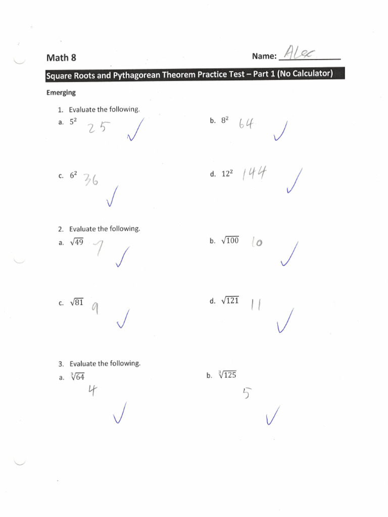 Alex's Test 1 | PDF